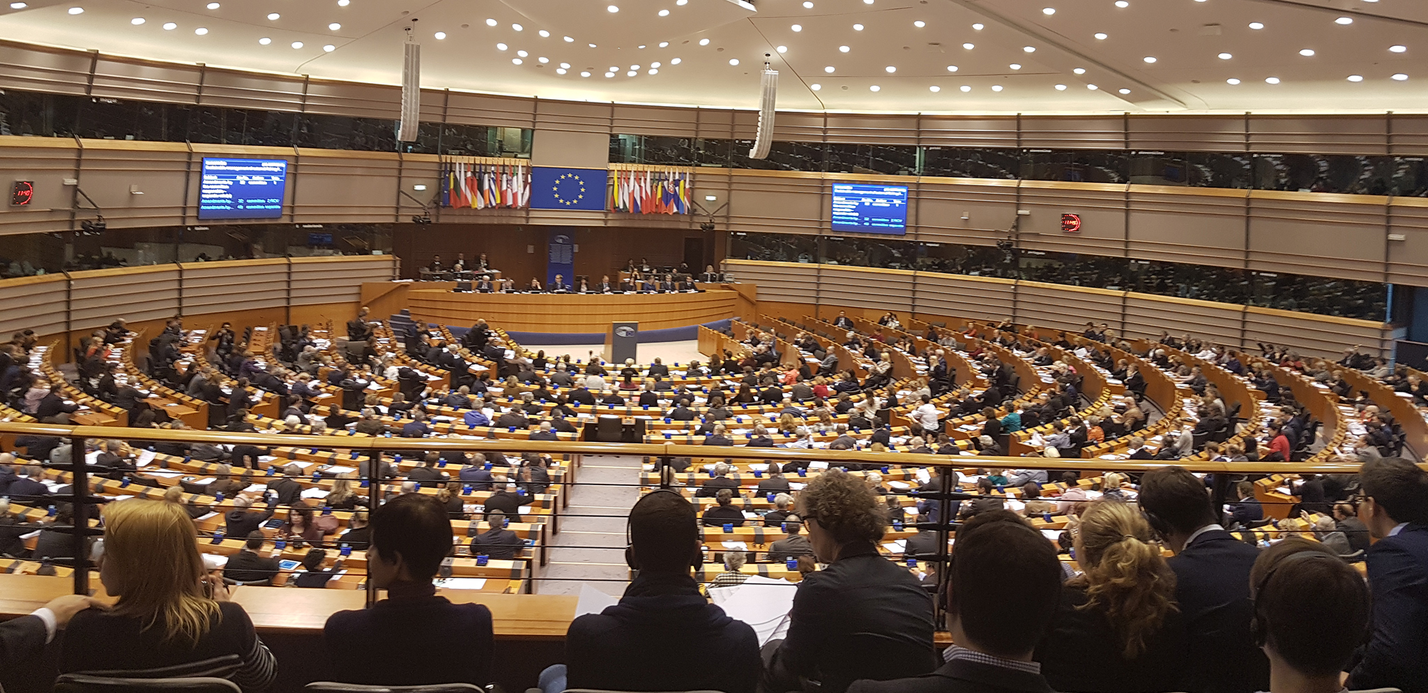 Democracy & Governance – Egeria Solutions