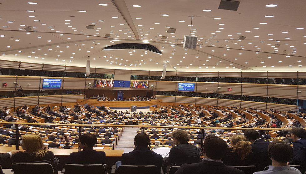 Egeria Solutions – Consulting company, management consulting, policy ...